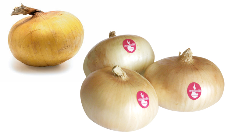 Conheça os principais tipos de cebola e suas características | Duas ...